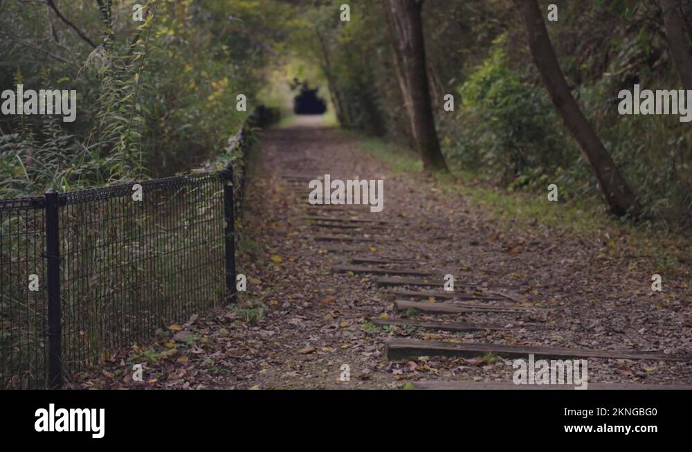 Autumn Hiking in Japan, Railway Sleepers along Abandoned Train Line ...