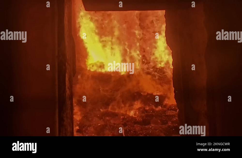 Biomass powerplant Stock Videos & Footage - HD and 4K Video Clips - Alamy