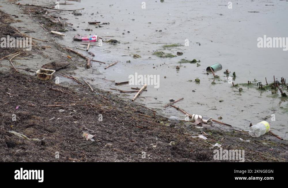 Rotten rubbish Stock Videos & Footage - HD and 4K Video Clips - Alamy