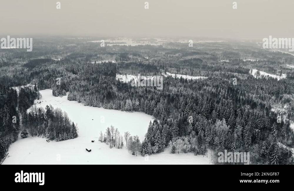 Taiga environment Stock Videos & Footage - HD and 4K Video Clips - Alamy