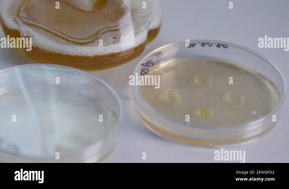 Fluids Stock Videos & Footage - HD and 4K Video Clips - Alamy