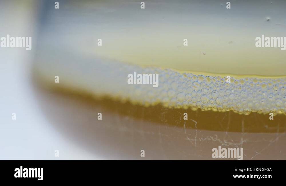 Fluid in flask Stock Videos & Footage - HD and 4K Video Clips - Alamy