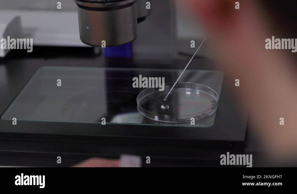 Fluid sample Stock Videos & Footage - HD and 4K Video Clips - Alamy