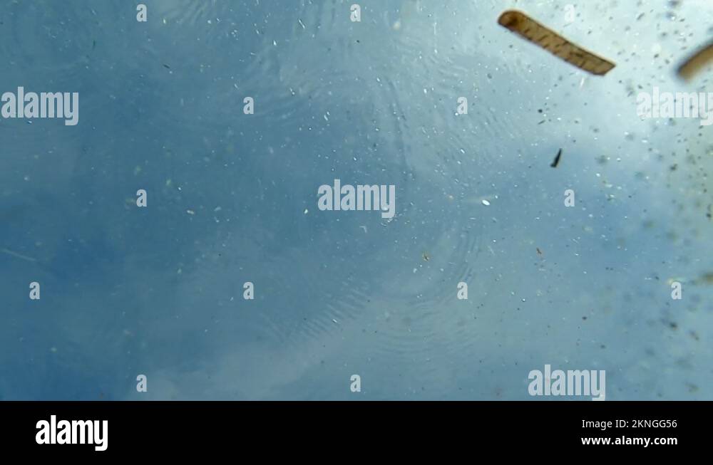 Water grains of sand Stock Videos & Footage - HD and 4K Video Clips - Alamy