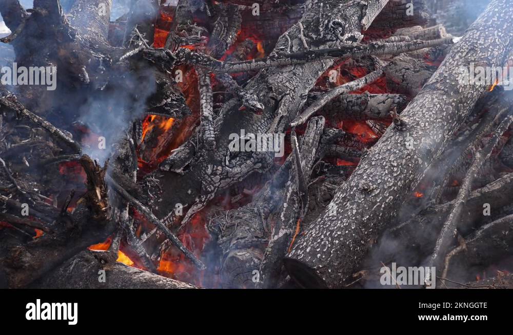 Slash pile burn Stock Videos & Footage - HD and 4K Video Clips - Alamy