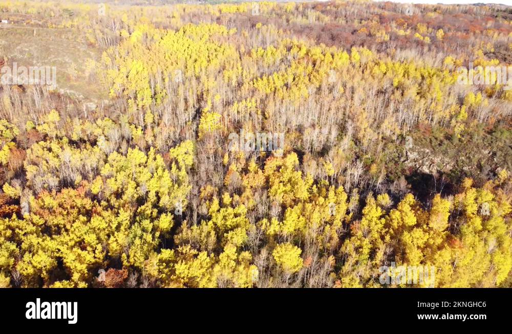 Fall Stock Videos & Footage - HD and 4K Video Clips - Alamy