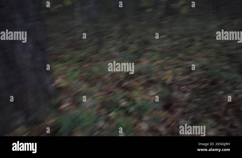 Man crawling grass Stock Videos & Footage - HD and 4K Video Clips - Alamy