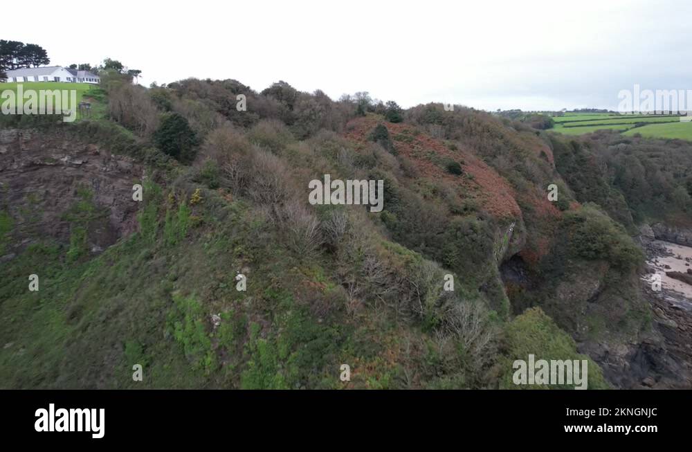 Shrubs and trees on slope Stock Videos & Footage - HD and 4K Video ...