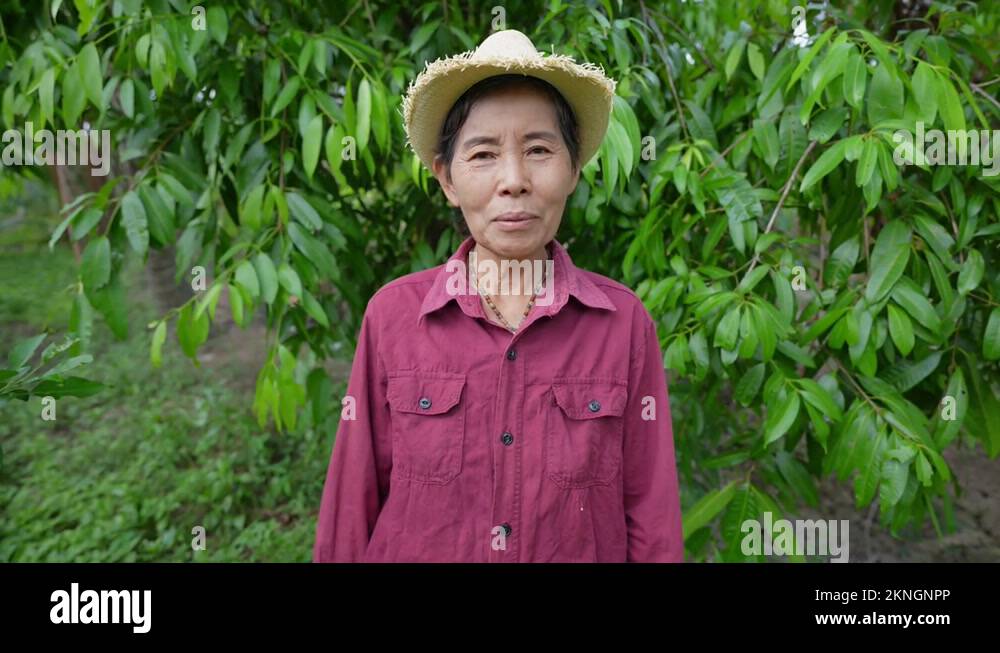 Agriculture concept of 4k Resolution. Farmers are explaining their ...