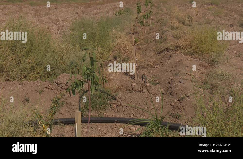 Drip farm Stock Videos & Footage - HD and 4K Video Clips - Alamy