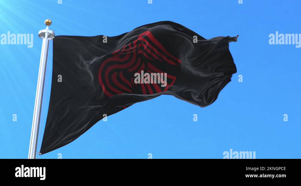 Raven banner viking Stock Videos & Footage - HD and 4K Video Clips - Alamy