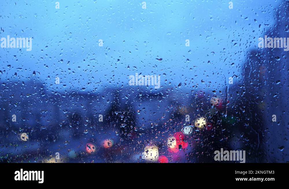 Fuzzy fuzzy background Stock Videos & Footage - HD and 4K Video Clips ...