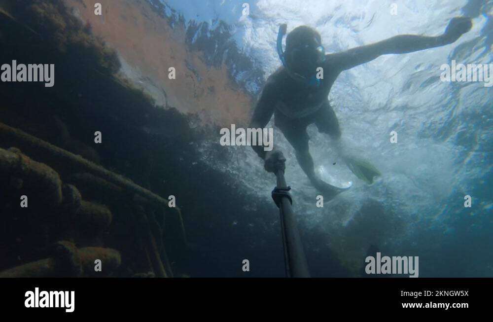 Free diving boat Stock Videos & Footage - HD and 4K Video Clips - Alamy