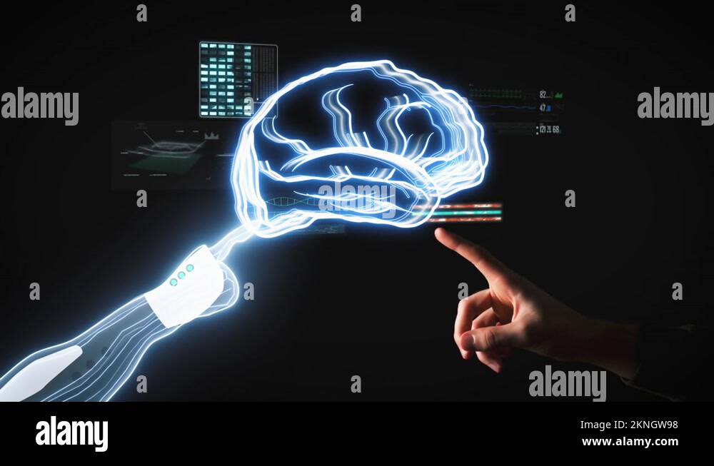 Brain concept digital Stock Videos & Footage - HD and 4K Video Clips ...