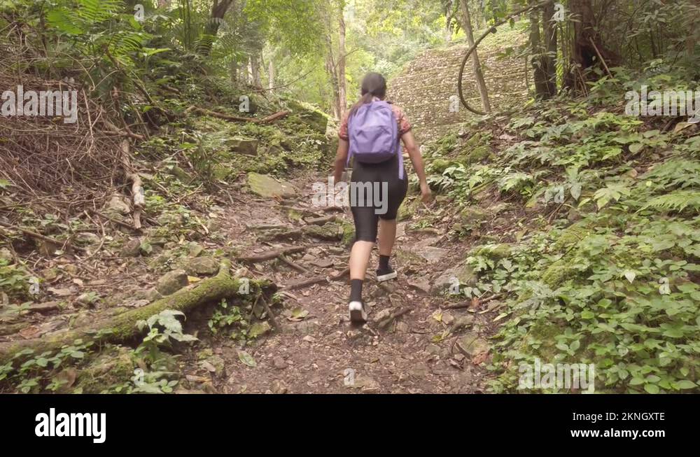 Tropic zone Stock Videos & Footage - HD and 4K Video Clips - Alamy