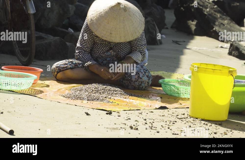 Seafood pile Stock Videos & Footage - HD and 4K Video Clips - Alamy