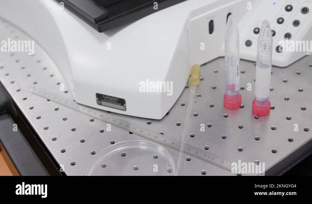 Pipet Stock Videos & Footage - HD and 4K Video Clips - Alamy