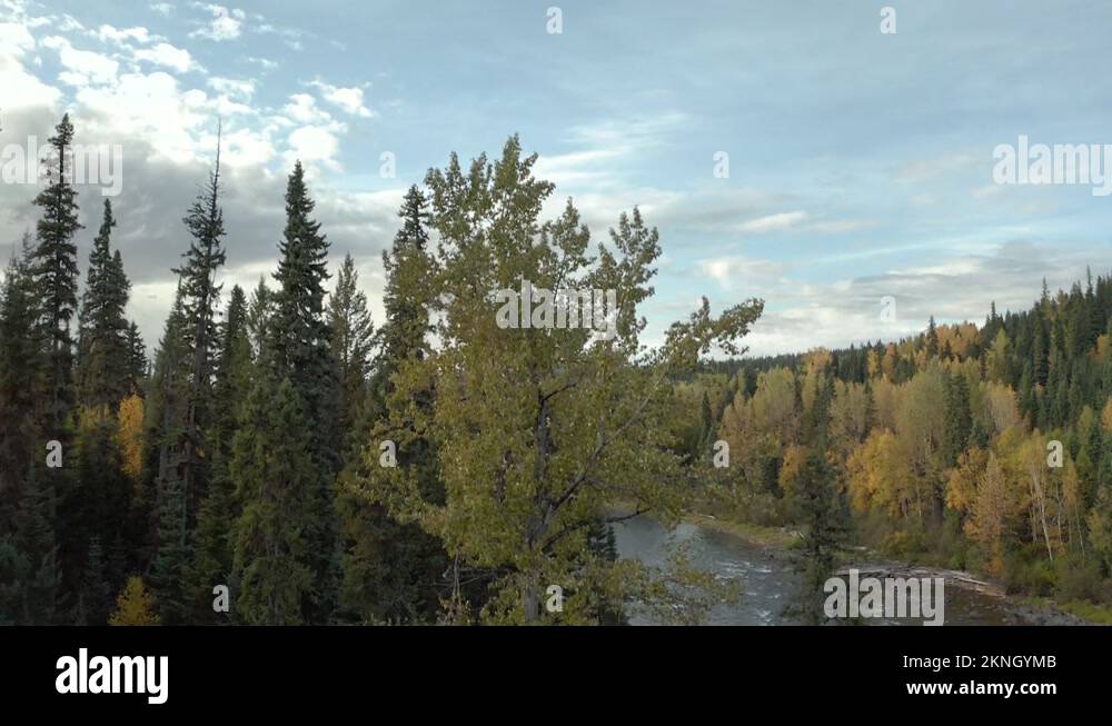 Rising from forest revealing beautiful seasonal colors of British ...