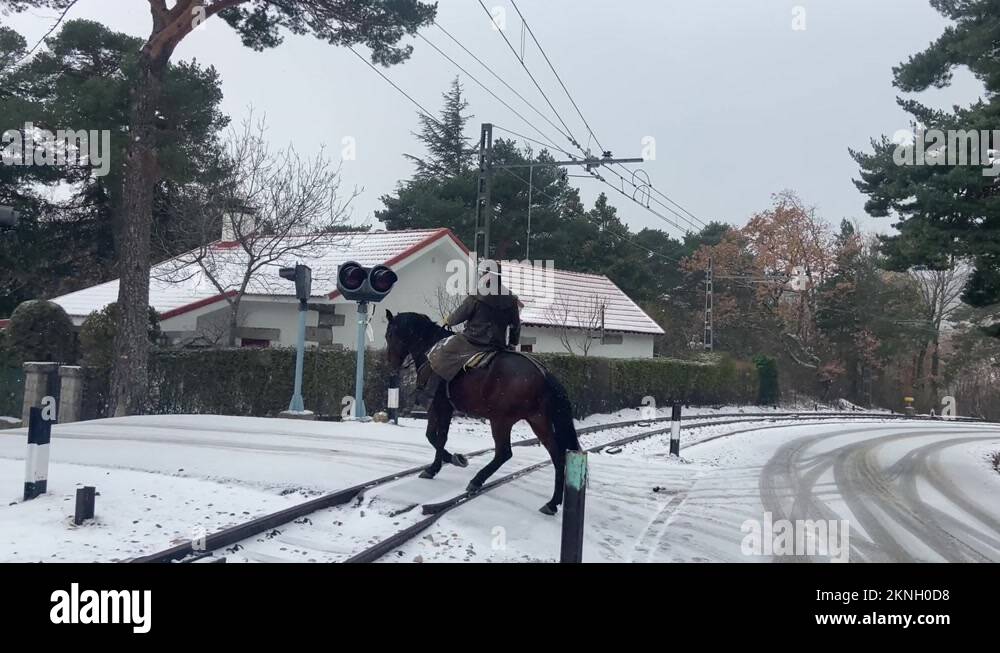 Horse riding tracks Stock Videos & Footage - HD and 4K Video Clips - Alamy