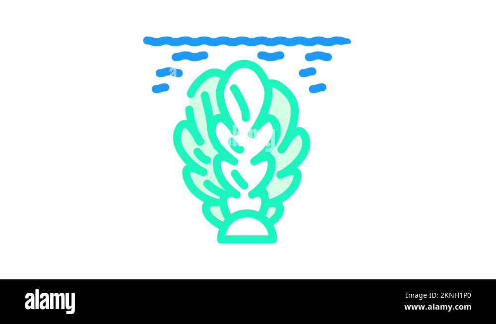 Algae icon Stock Videos & Footage - HD and 4K Video Clips - Alamy