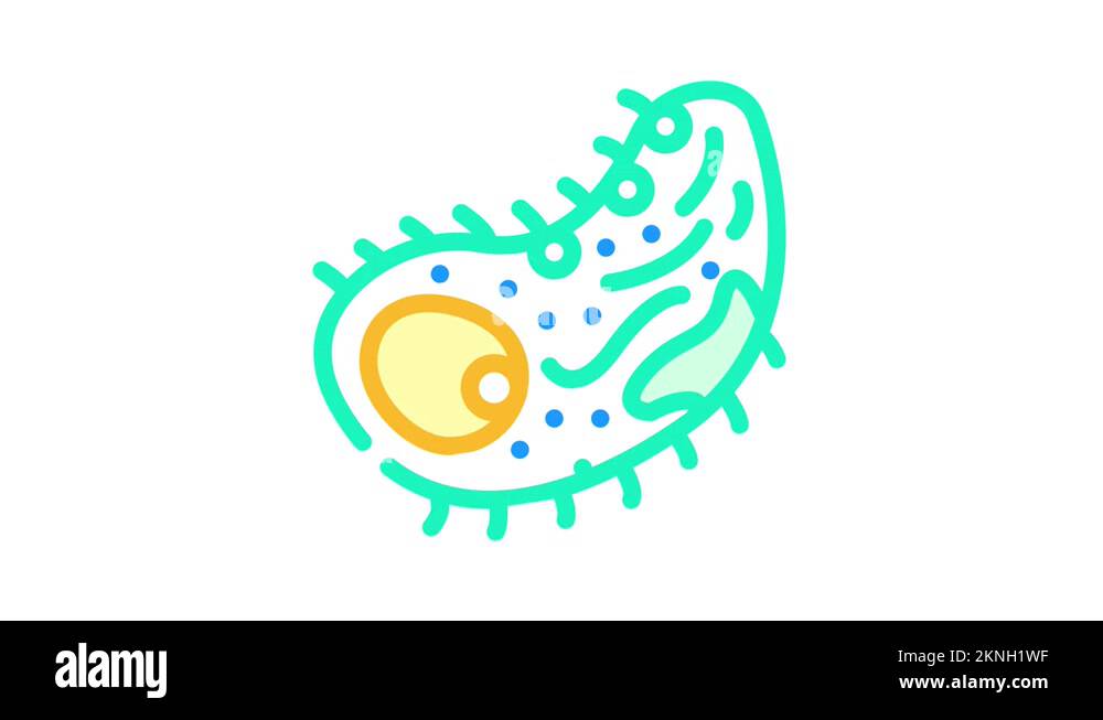 bacteria biogas color icon animation Stock Video Footage - Alamy