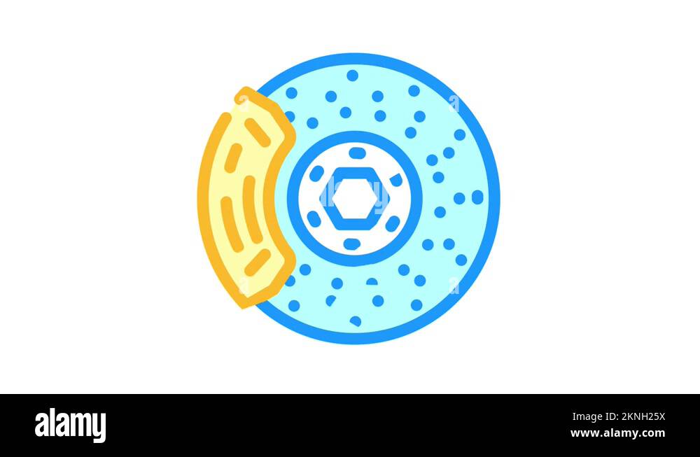 Automatic car brake Stock Videos & Footage - HD and 4K Video Clips - Alamy