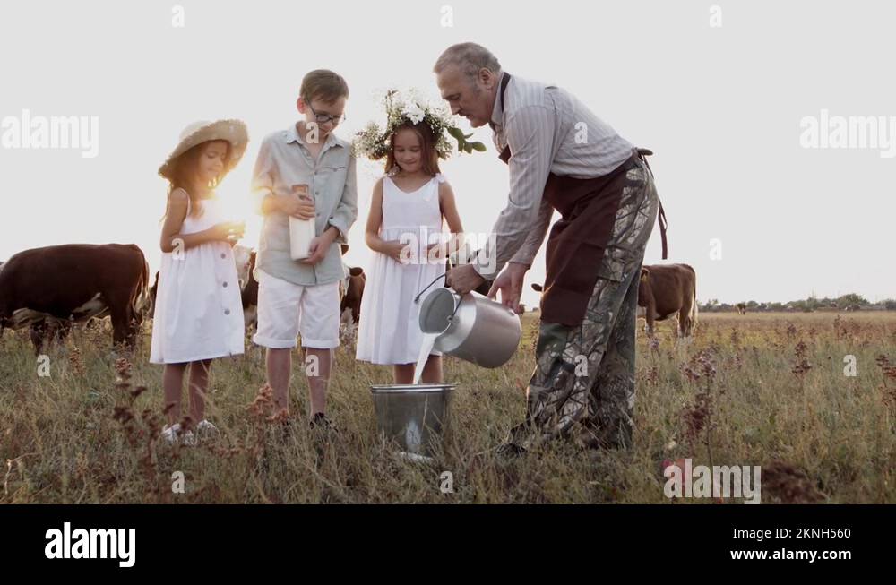 Family milk cow Stock Videos & Footage - HD and 4K Video Clips - Alamy