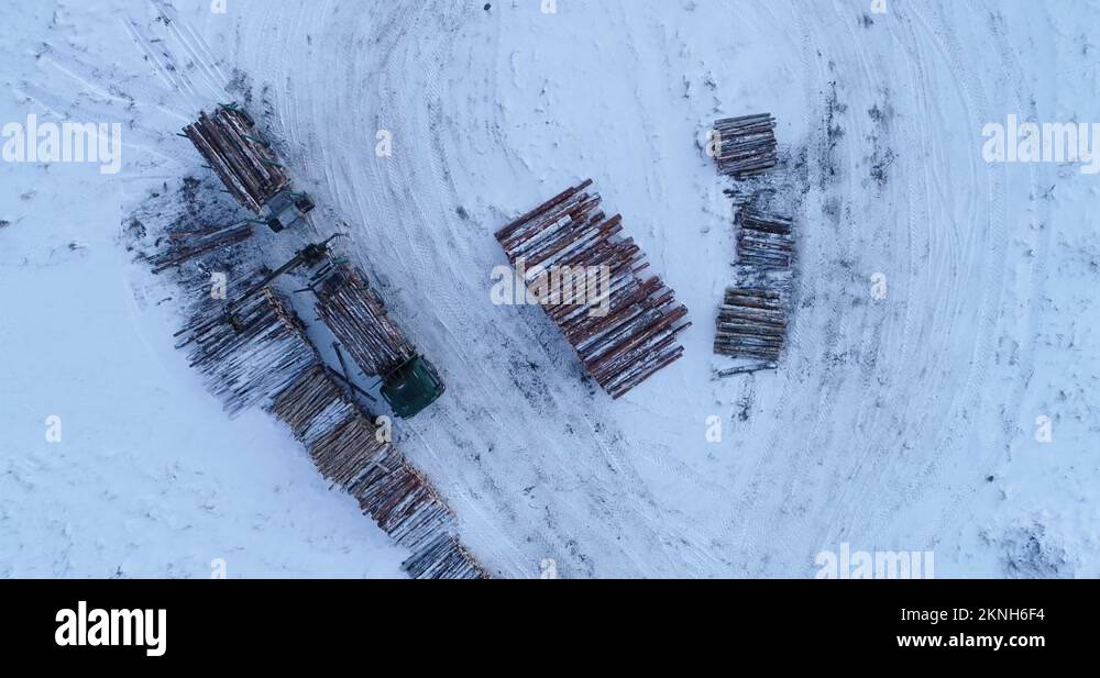 Descending over a wood truck loading timber and car driving by Stock ...