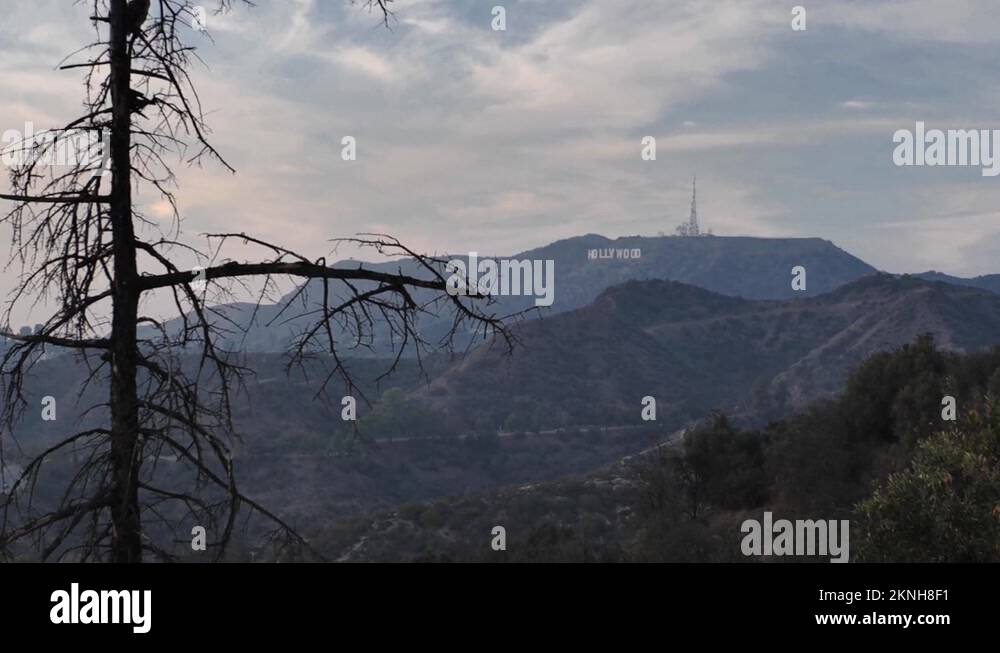 Griffith park hollywood sign Stock Videos & Footage - HD and 4K Video ...
