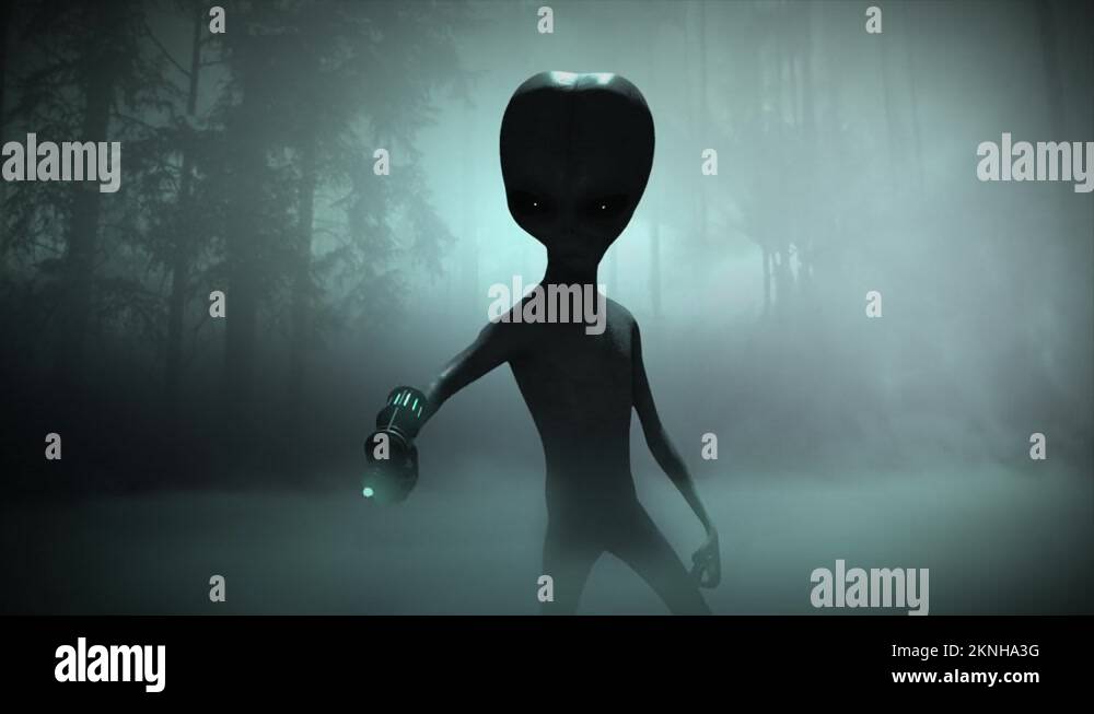 3D CGI VFX animation of a classic Roswell grey alien in a misty forest ...