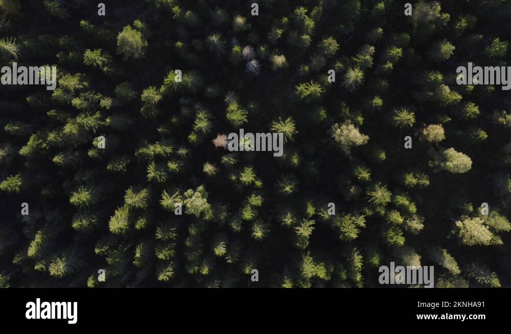 Top down perspective Stock Videos & Footage - HD and 4K Video Clips - Alamy