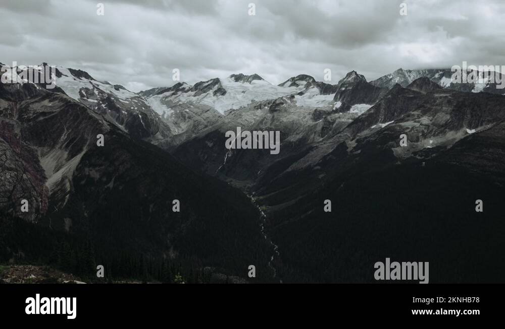 British crest Stock Videos & Footage - HD and 4K Video Clips - Alamy