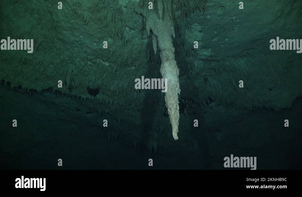 Stalactite hanging from cave ceiling in Cenote The Pit Yucatan Mexico ...