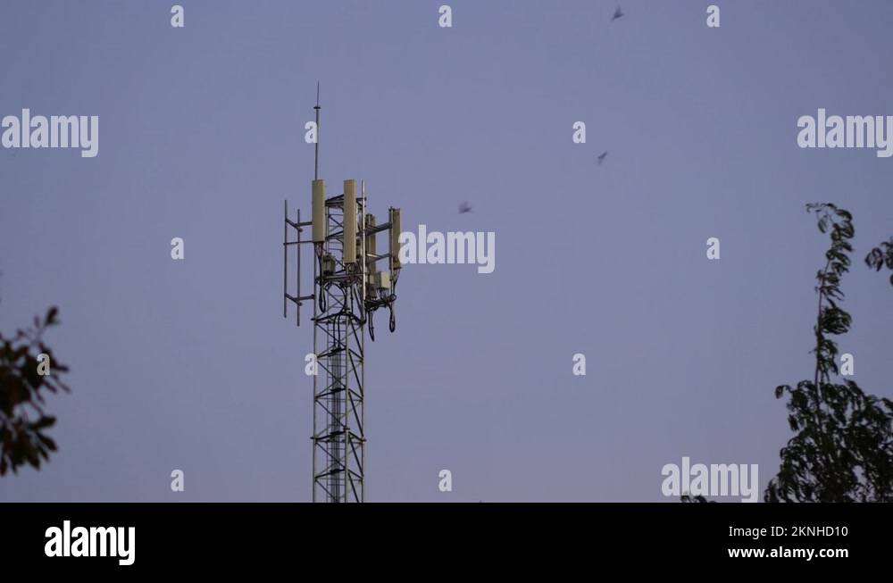 Telecom pole Stock Videos & Footage - HD and 4K Video Clips - Alamy