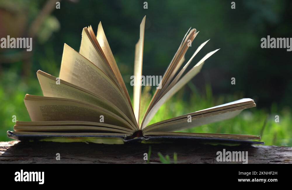 Old open book paper Stock Videos & Footage - HD and 4K Video Clips - Alamy