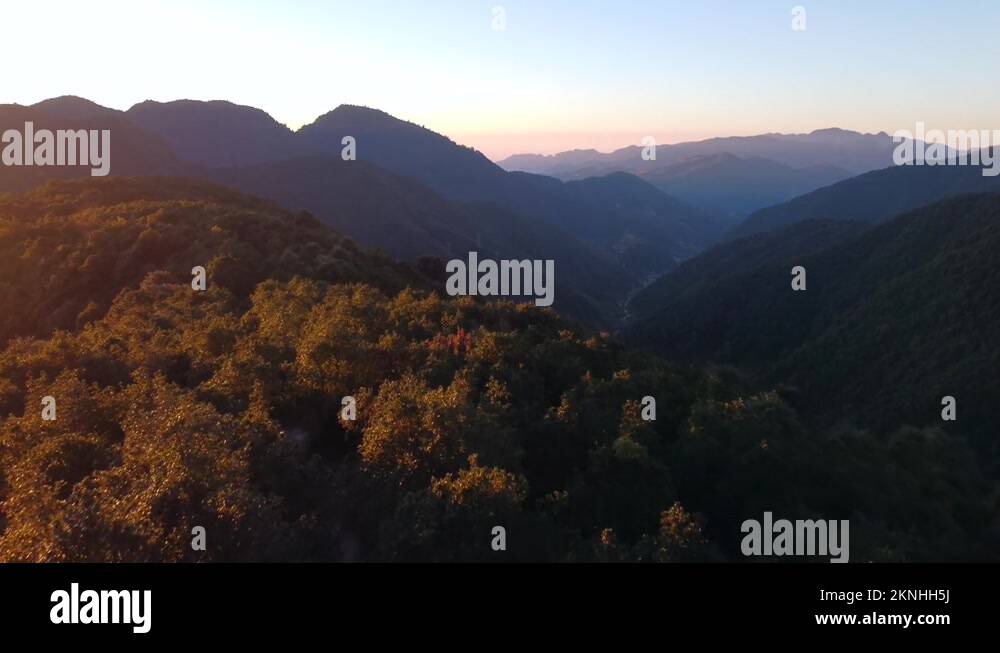 Trees on the top of a hill Stock Videos & Footage - HD and 4K Video ...