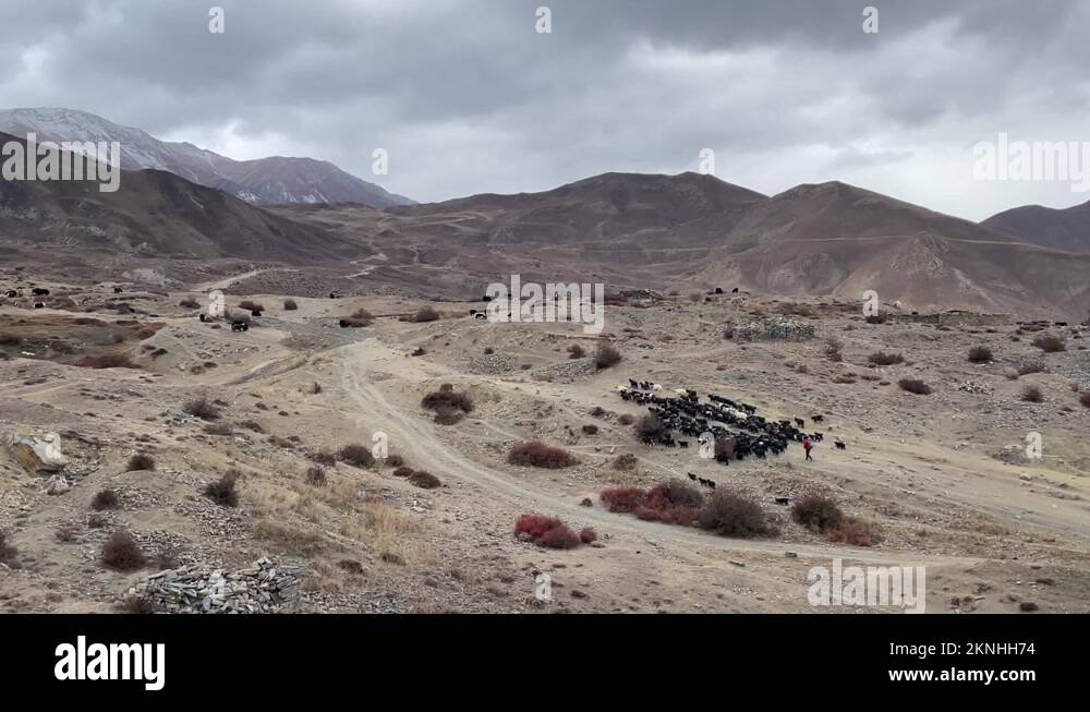 Barren hillside Stock Videos & Footage - HD and 4K Video Clips - Alamy