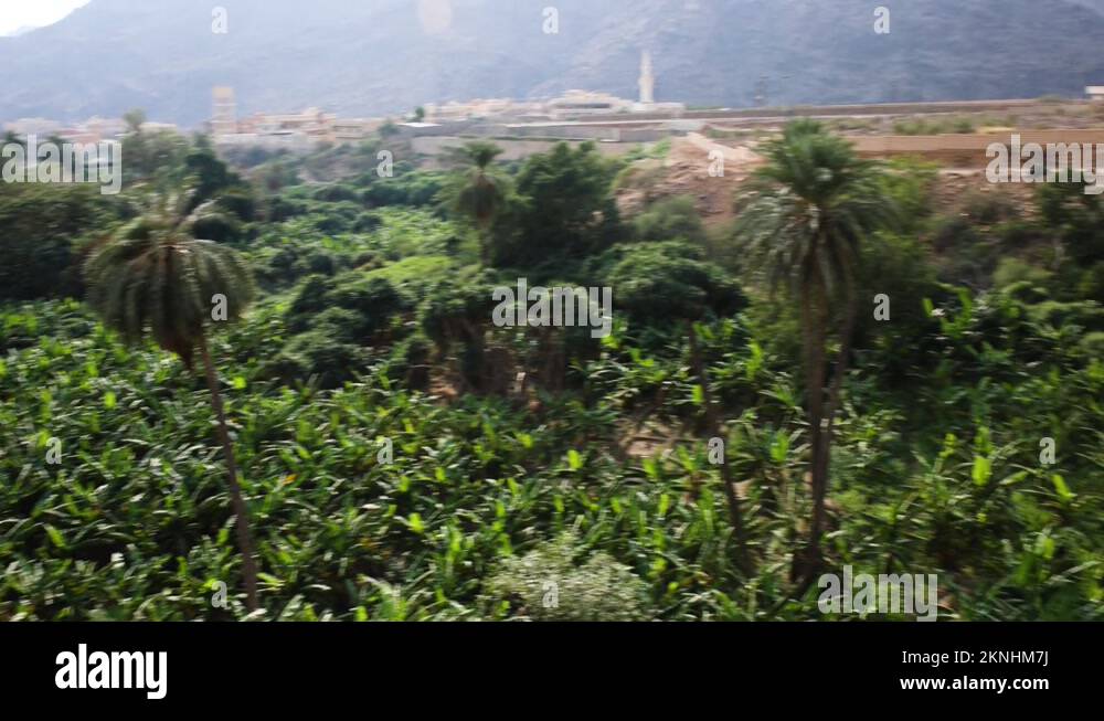 View garden in saudi Stock Videos & Footage - HD and 4K Video Clips - Alamy