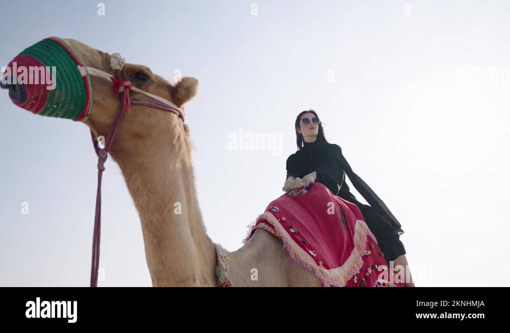 Woman riding camels Stock Videos & Footage - HD and 4K Video Clips - Alamy