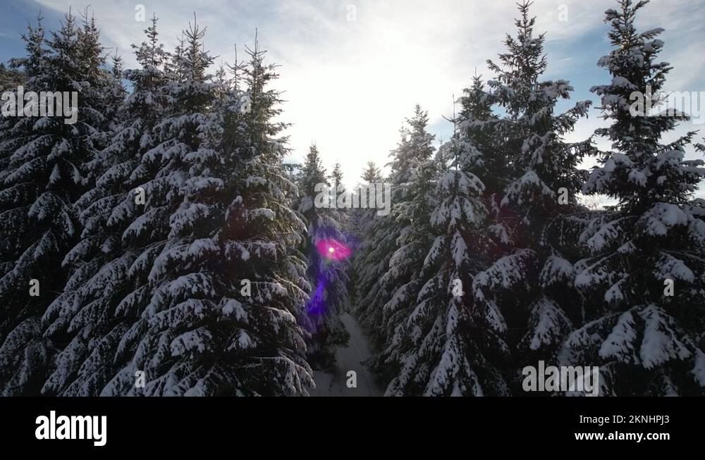 Snow leaks Stock Videos & Footage - HD and 4K Video Clips - Alamy