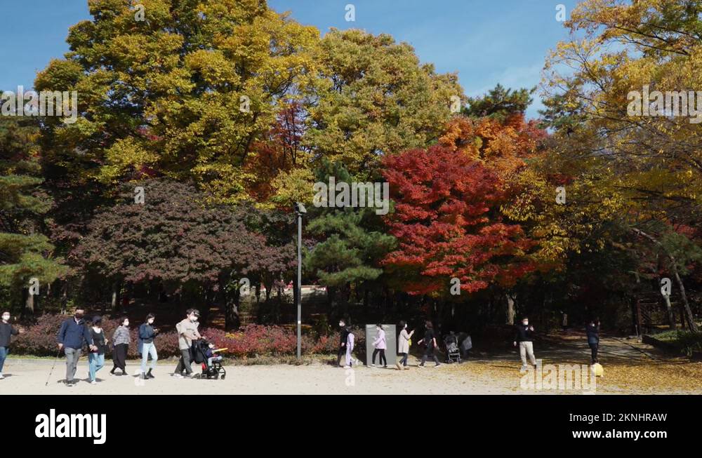 Skyline park groups Stock Videos & Footage - HD and 4K Video Clips - Alamy