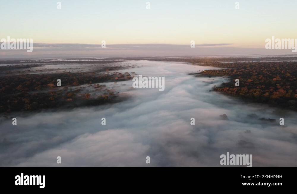 Amazon rainforest aerial Stock Videos & Footage - HD and 4K Video Clips ...