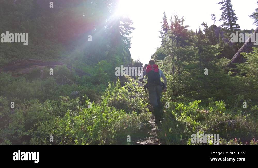 Hiking in Alpine Mountains Big Interior Mountain Vancouver Island Stock ...