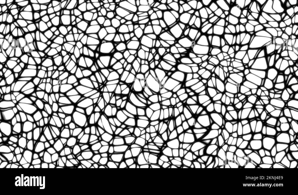 4K Abstract Spider Web Blood Vein Black And White Loop Animation ...
