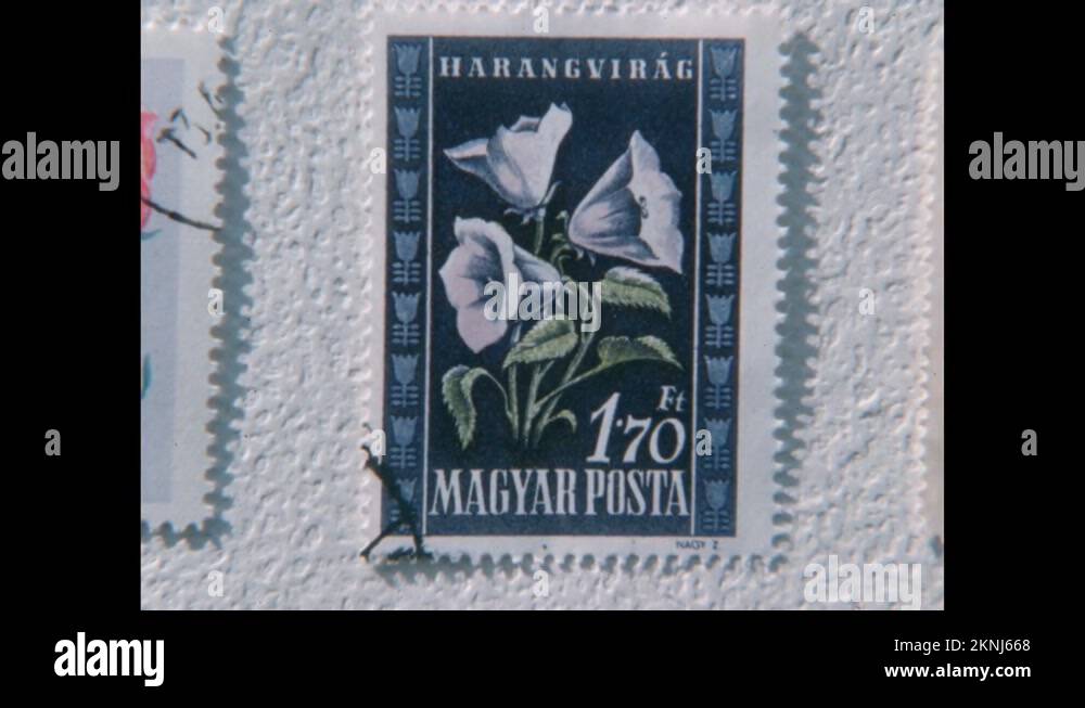 Russian drawing Stock Videos & Footage - HD and 4K Video Clips - Alamy