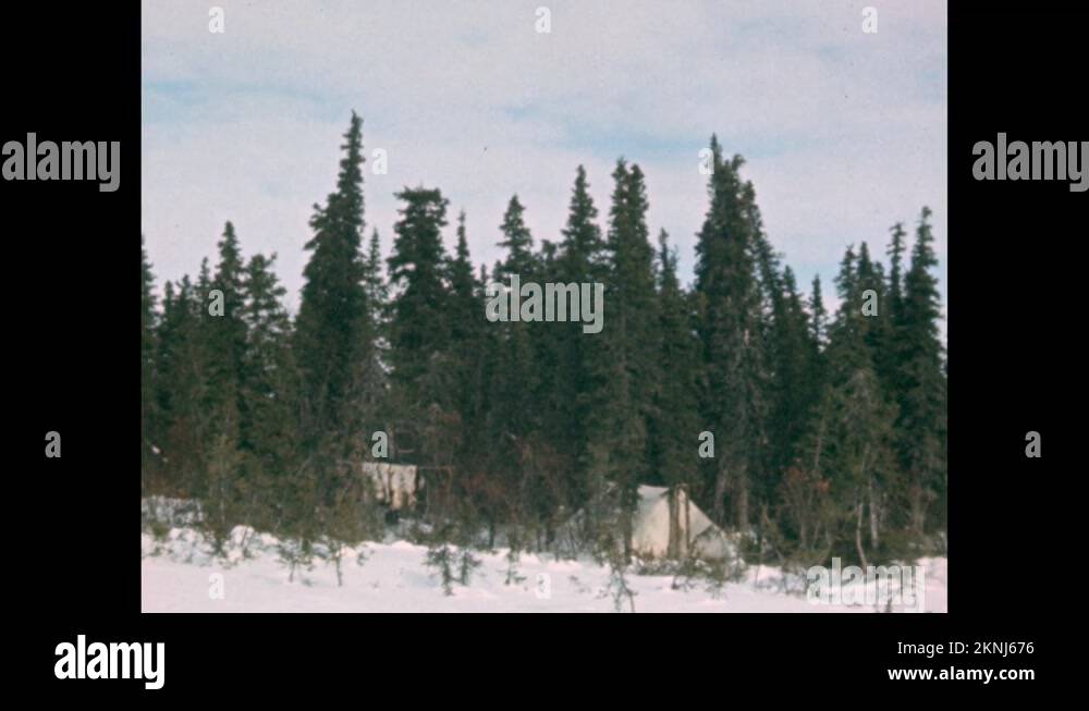 Sled dog houses Stock Videos & Footage - HD and 4K Video Clips - Alamy