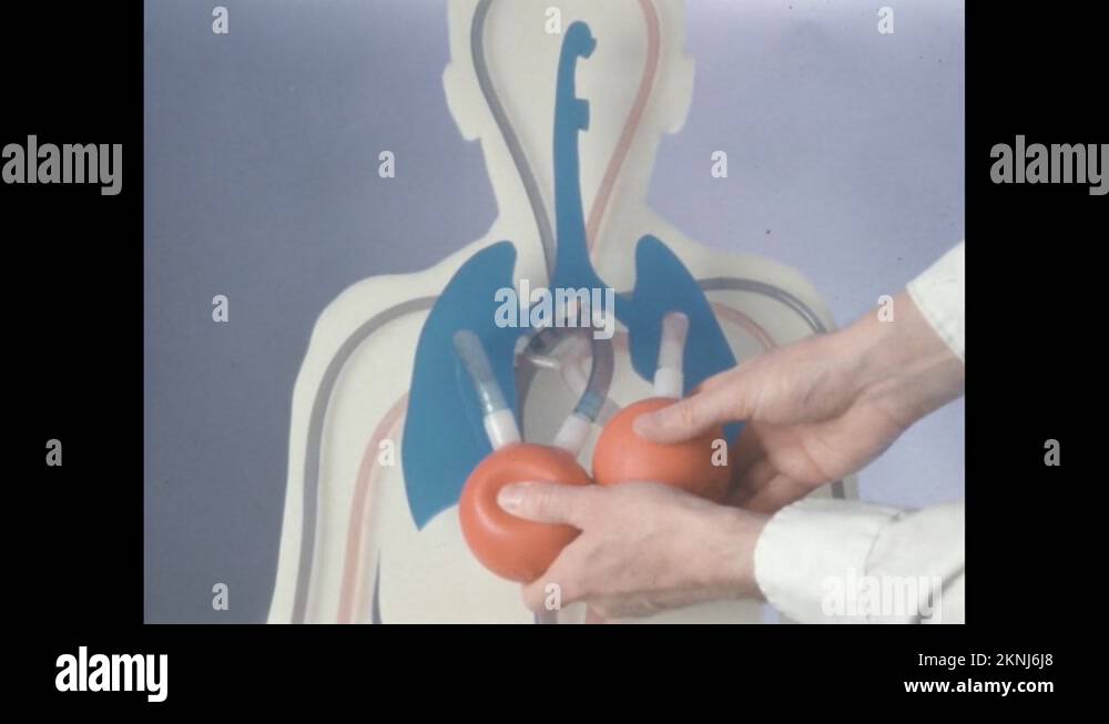 Heart bulbs Stock Videos & Footage - HD and 4K Video Clips - Alamy