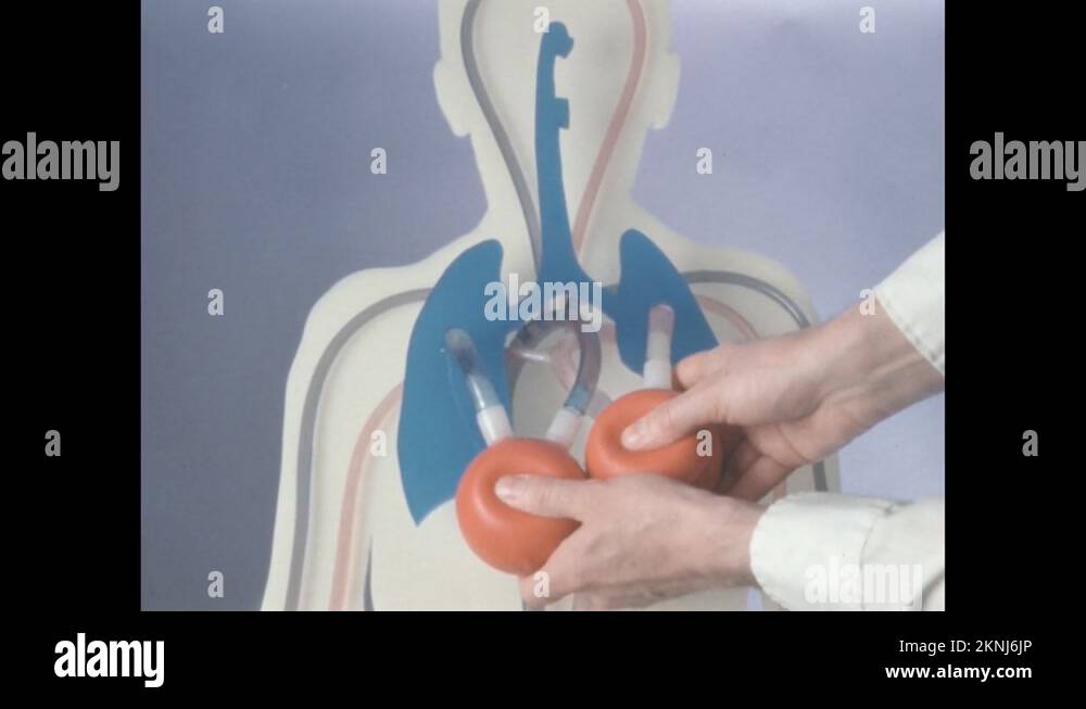 Heart pumping Stock Videos & Footage - HD and 4K Video Clips - Alamy