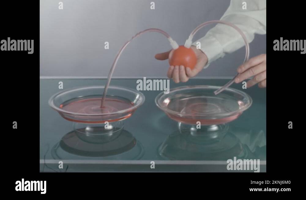 Liquid for dishes Stock Videos & Footage - HD and 4K Video Clips - Alamy