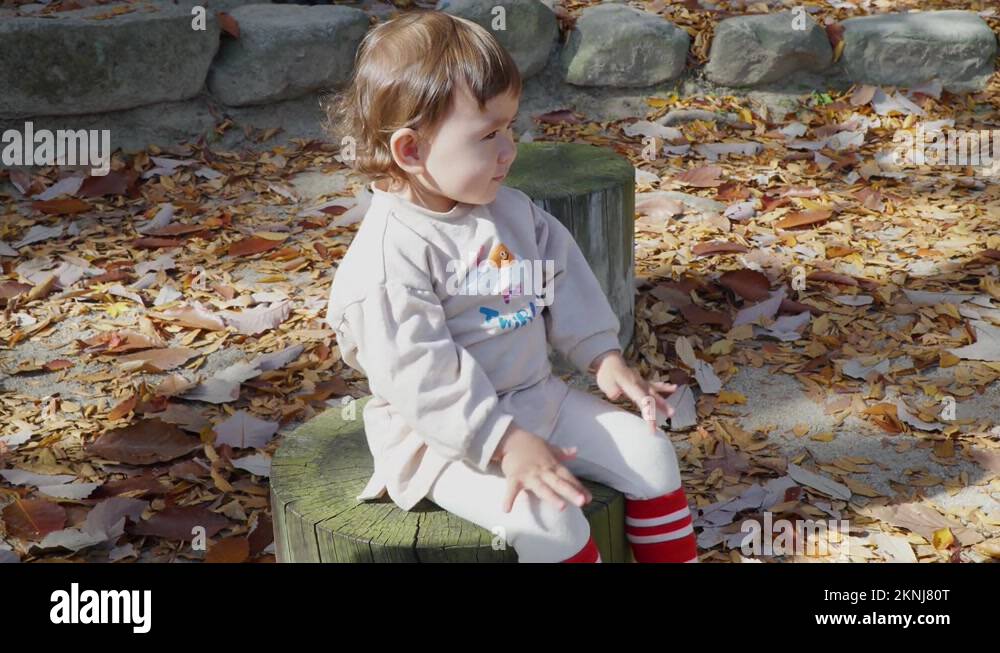 Baby girl sitting on stump Stock Videos & Footage - HD and 4K Video ...